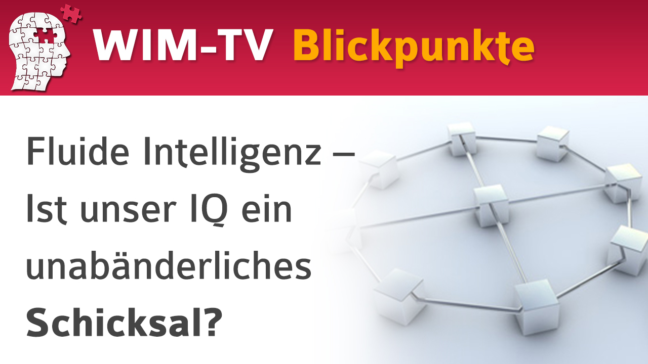 Fluide Intelligenz - Ist unser IQ ein unabänderliches Schicksal?